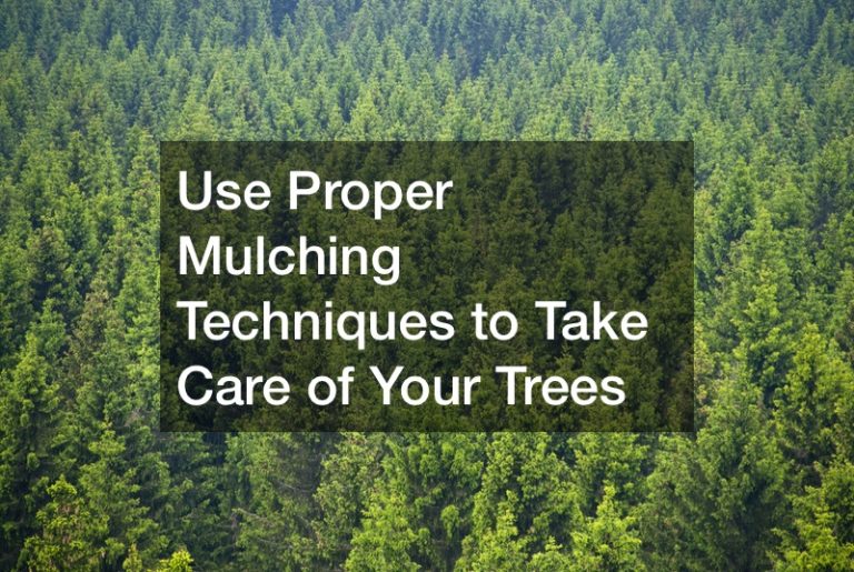 Use Proper Mulching Techniques to Take Care of Your Trees - Remodeling ...